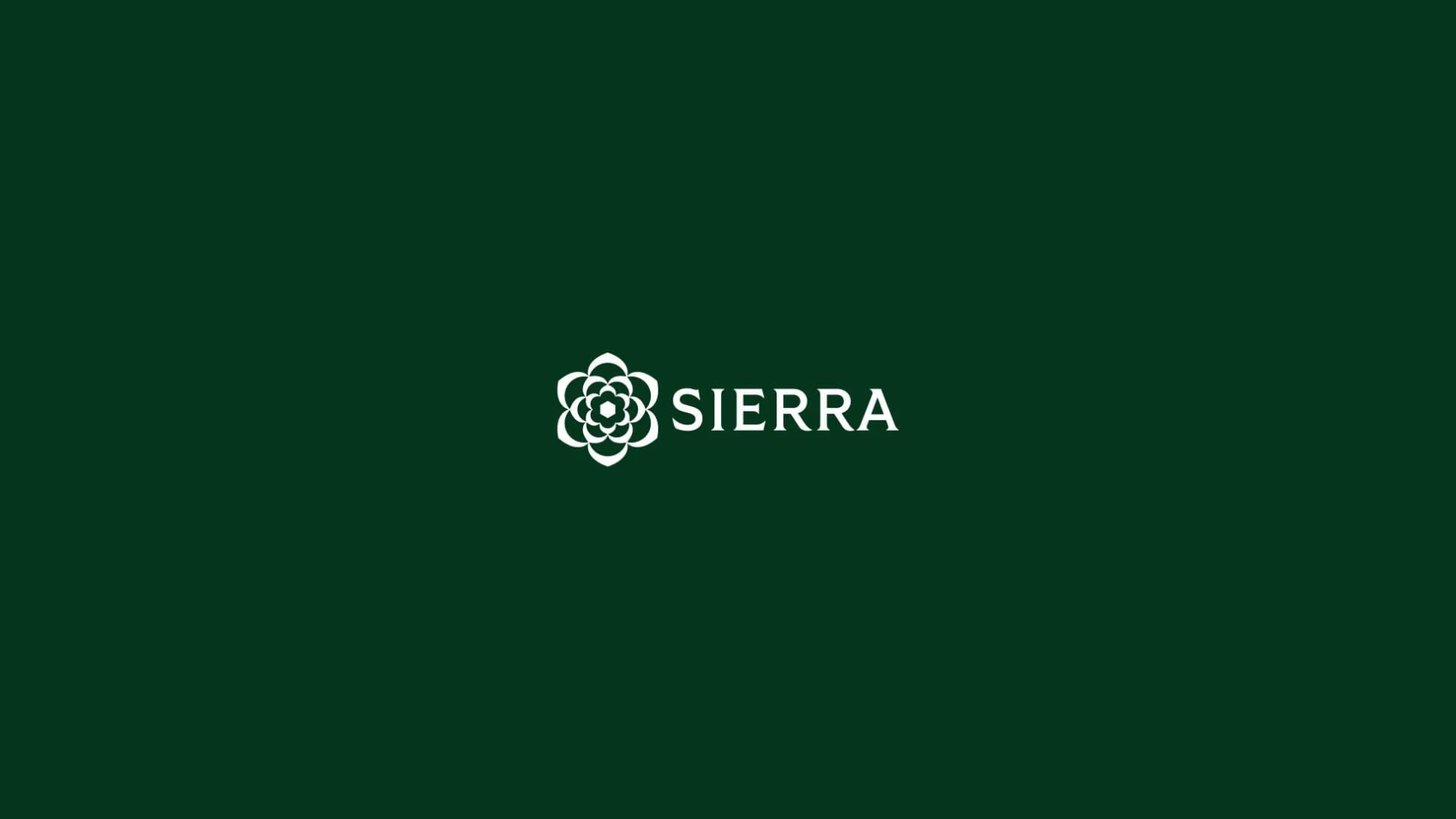 Sierra AI Overview & Best Alternatives in 2025